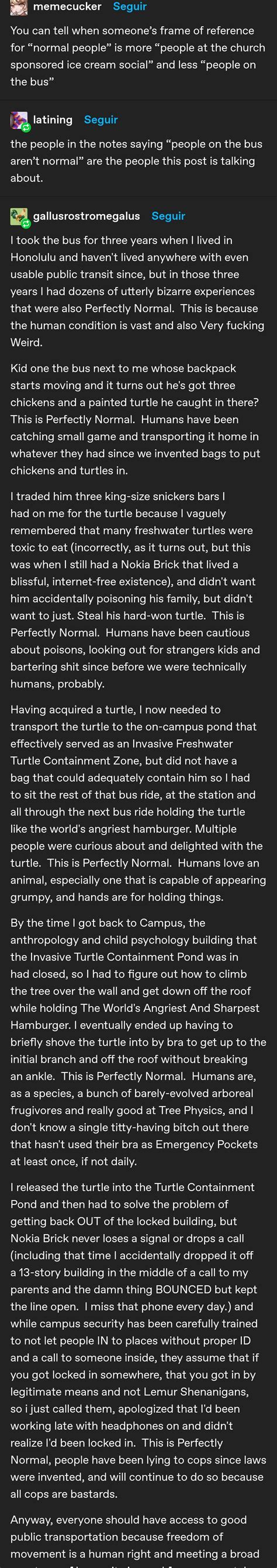 Tumblr Stuff Tumblr Posts Stupid Funny Hilarious Tumblr Funny