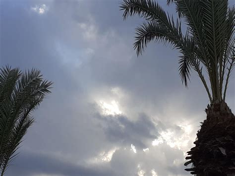 Yellow Weather Warning Issued For Cyprus Storms Expected Famagusta