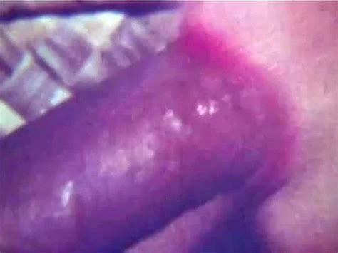 Vintage Ginger Lynn Xxx Video At Xnxx Org Porn Tube