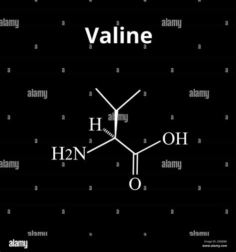 Valine Amino Acid Chemical Molecular Formula Of Valine Amino Acid