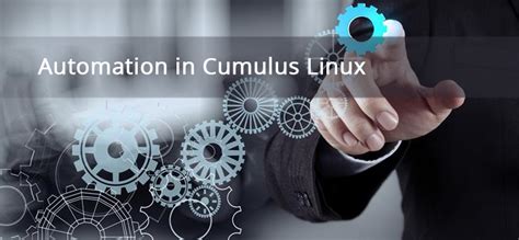Wie lässt sich Ansible in Cumulus Linux Automation Funktion