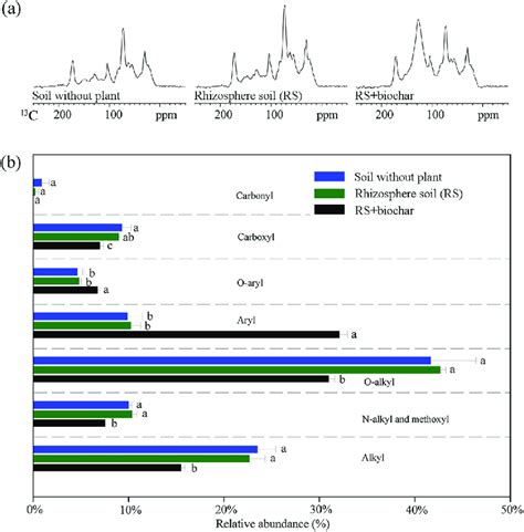 A 13 C Solid State Nuclear Magnetic Resonance Spectroscopy Nmr Of