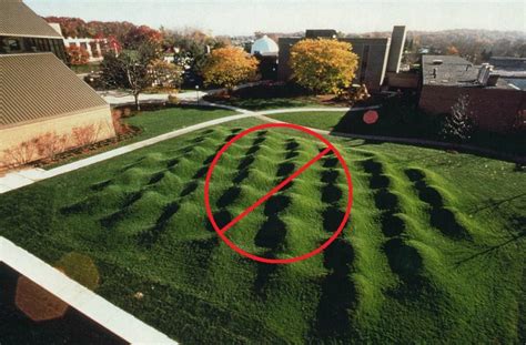 How To Level A Bumpy Lawn DIY LAWN EXPERT