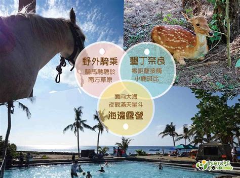 【蝌蚪池塘2016國小冬令營】南島野騎之旅~b梯次126二 128四活動日期：2016 01 26 Beclass 線上報名