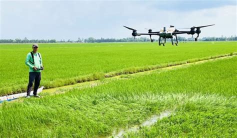 ប្រជាកសិករ វៀតណាម ប្រើប្រាស់ យន្តហោះ ដ្រូ ន Drone ក្នុង ការដាំដុះ La Reine Media