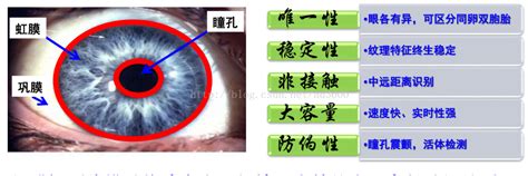 基于qualcomm平台的虹膜识别技术一ad3600的博客 Csdn博客