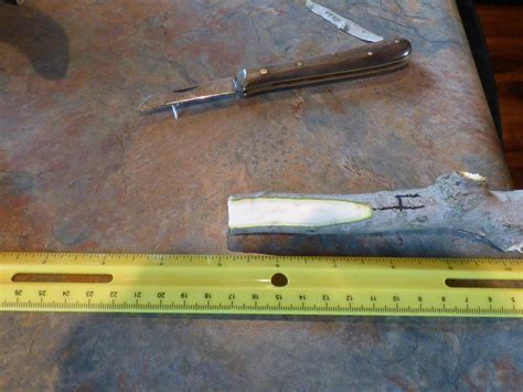 How To Demonstrating 3 Flap 4 Flap Grafting Aka Banana Graft