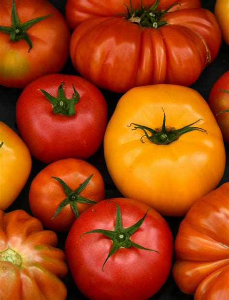 Determinate Vs Indeterminate Tomatoes The Farm At Green Village