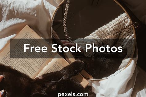 circle text animation photos download the best free circle text