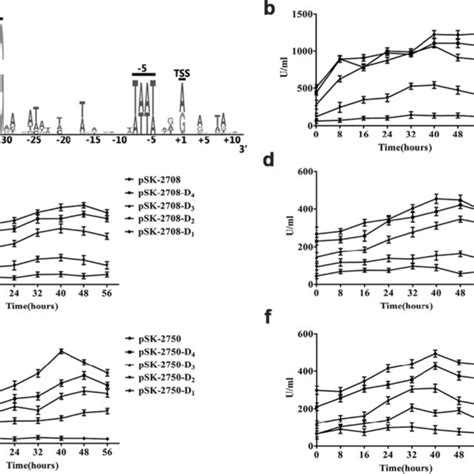 The Results Of Truncation Experiments For Five Strong Promoters Of C