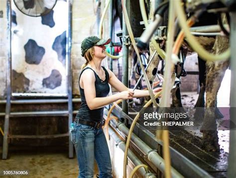 Girl Being Milked Photos And Premium High Res Pictures Getty Images