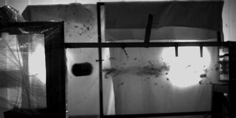 The Projectile In Flight Download Scientific Diagram