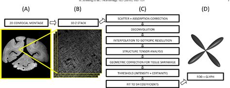Figure 1 From Comparison Of 3d Orientation Distribution Functions