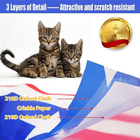 2 Way Cat Tunnels For Indoor Cats Collapsible Tube 10 Inch Diameter