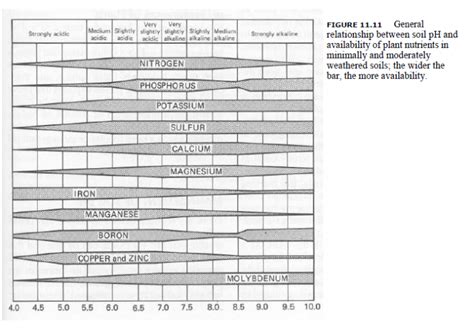 Soil Reaction Importance Factors Affecting Soil PH Plantlet
