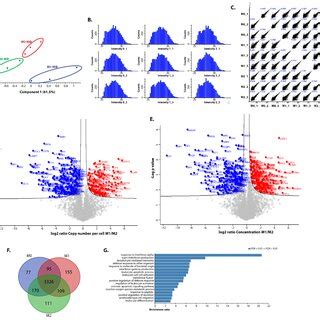 Expression Levels Of Metabolic Pathway Proteins A Heat Map Showing