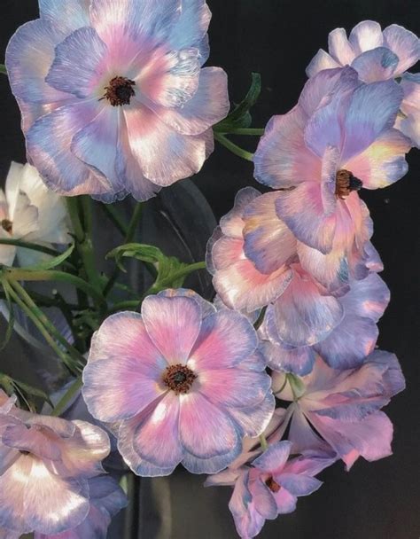 Erotic Tinaa On Tumblr