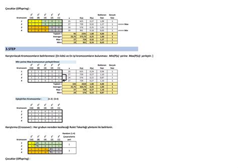 Genetic Algorithm Examples And Presentation In Turkish Pdf