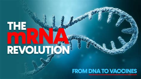 Unlocking The Power Of Mrna A Breakthrough In Medical Science The