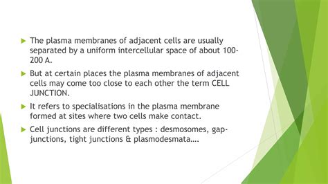 Desmosomes And Hemidesmosomes Ppt