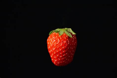 黑色背景图片素材 黑色背景设计素材 黑色背景摄影作品 黑色背景源文件下载 黑色背景图片素材下载 黑色背景背景素材 黑色背景模板下载 搜索中心