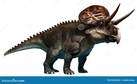 Zuniceratops Stock Illustration Illustration Of Cretaceous 81855524