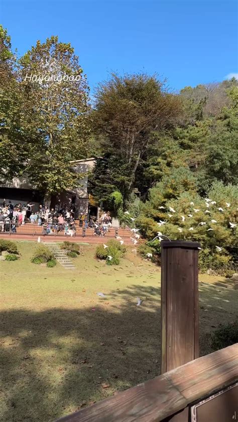 일상생활 기록남기기 하양바오 음식 여행 Hayangbao • Instagram Photos And Videos