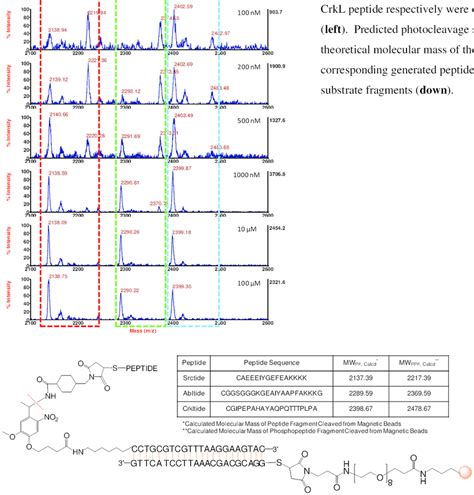Figure S7 A Set Of MALDI TOF MS Spectra Of The Photocleavable