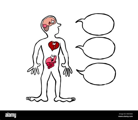 El Cerebro El Corazón Y Los Intestinos Hablando Fotografía De Stock Alamy