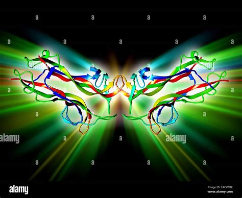Molecular Model Of The Brain Derived Neurotrophic Factor Also Known As Bdnf It Is A Protein