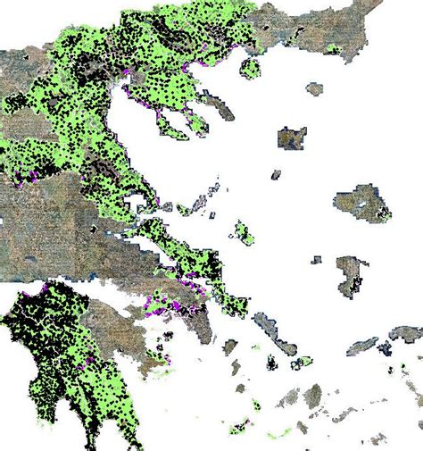 Δασικοί Χάρτες Αγίου Στεφάνου Υποβολή Αντίρρησης Φωτοερμηνεία