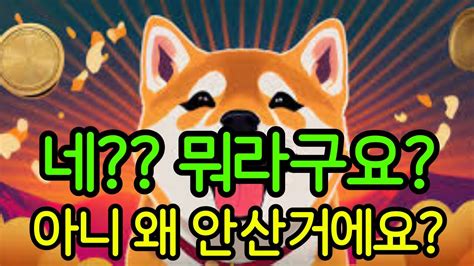 시바이누 아니 왜 안 샀냐고ㅜㅜ Youtube