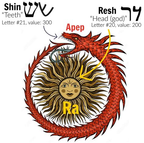 Resh ר Head Shin ש Teeth Origin Ralphanumerics