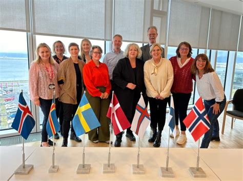 Nordic Framework For Patient Safety Knowledge And Skills Íslandis