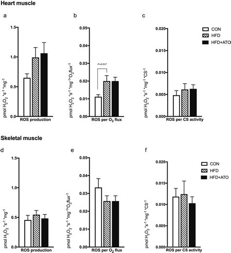 H2O2 Release In Permeabilized Heart Muscle And Skeletal Muscle Of Obese Download Scientific