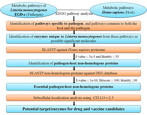 Figure Schematic Representation Of Subtractive Genomics Methodology