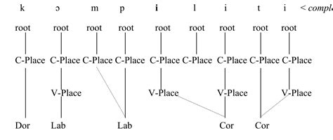 Assimilation Or Default Vowel Insertion 56 In Labial