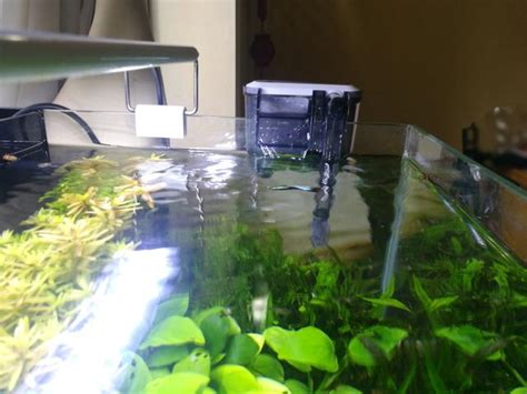 這種魚缸過濾，效率太低了，我買了一個，現在想退貨 每日頭條