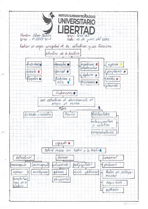 Funcion Y Carcateristicas De La Celula Esquemas Y Mapas Conceptuales