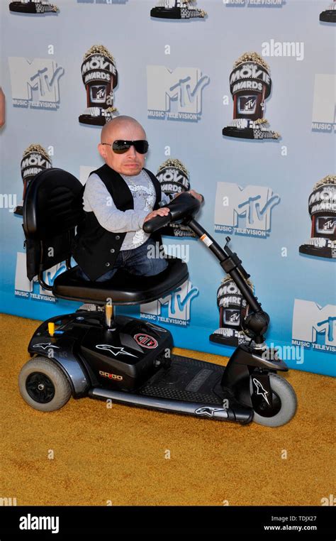 Los Angeles Ca June 01 2008 Verne Troyer At The 2008 Mtv Movie