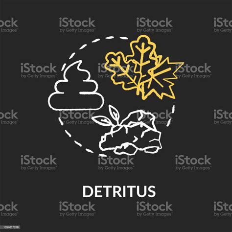 Detritus 분필 Rgb 색상 개념 아이콘 식품 사슬 에너지 생산자 유기체 죽은 식물 조각 유기 재료 아이디어 검은 색
