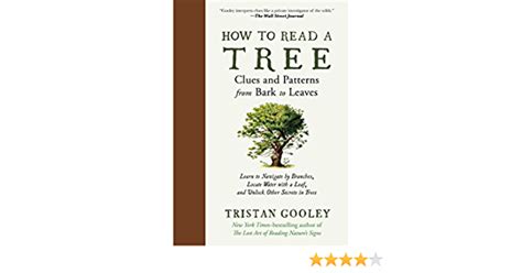 How To Read A Tree Clues And Patterns From Bark To Leaves Natural