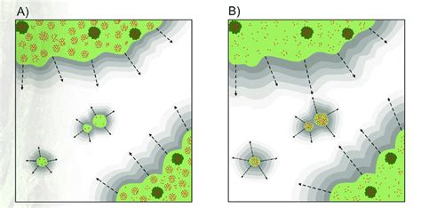 Network Of Seed Dispersal Interactions Among Trees Green Cm Download Scientific Diagram