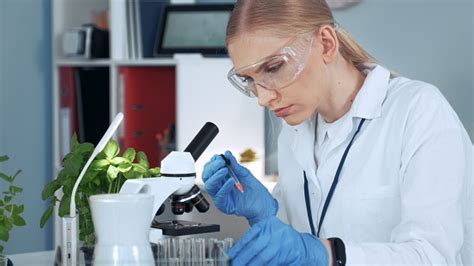 파이펫을 사용하여 테스트 튜브에서 샘플을 채취하는 안전 안경의 의학 연구 과학자 Stem 주제에 대한 스톡 사진 및 기타 이미지