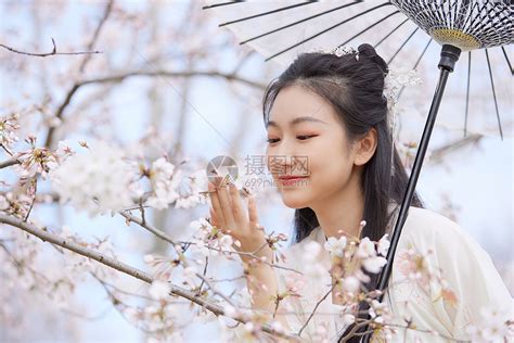 古风汉服樱花美女撑伞赏花高清图片下载 正版图片501740455 摄图网