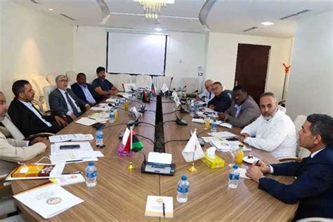 أستاذ علاقات دولية مصر أكثر الدول حرصًا على استقرار ليبيا المصري اليوم