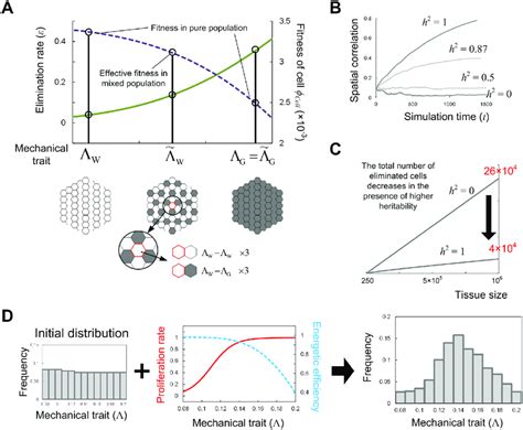 Approximating The Dynamics Of Trait Distribution A Schematic