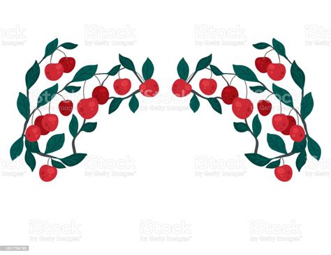 나뭇가지 단풍 및 텍스트 장소에 평평한 손으로 그린 체리가있는 천연 프레임 덤불에 열매와 테두리와 복사 공간 벡터 내추럴 템플릿
