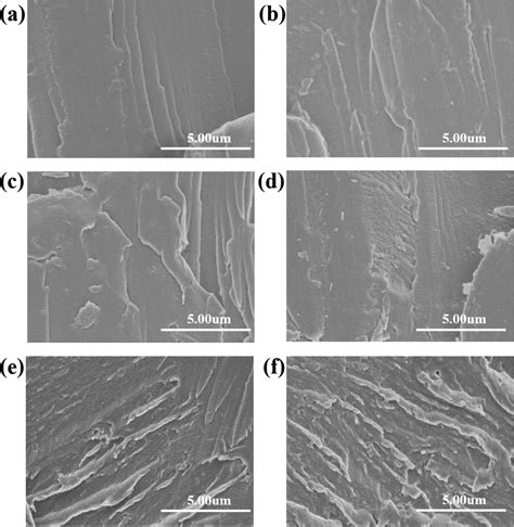 Enhanced Proton Transport Properties Of Sulfonated Polyarylene Ether