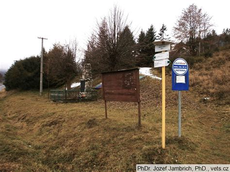Hrob Jozef Sagara Spolek Pro Vojenská Pietní Místa